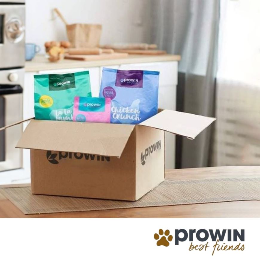 proWIN France - Dans le respect de l'environnement et de la personne